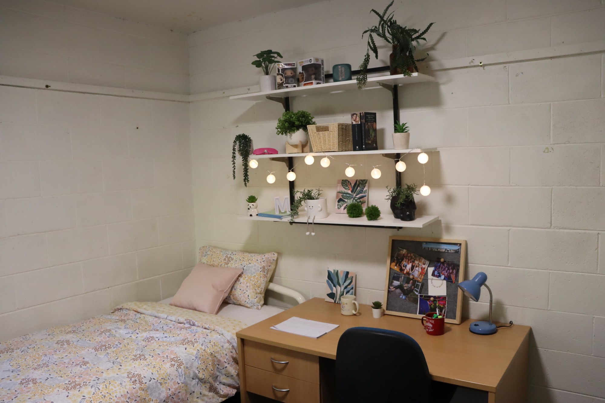 Units - La Trobe University Bendigo Campus, Bendigo | Student Accommodation