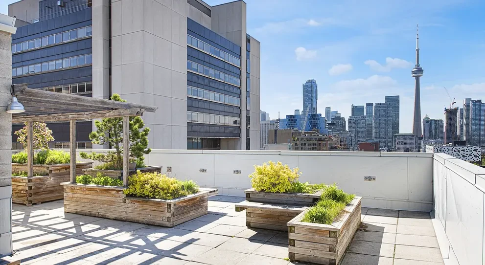 Financial District - 200 Elm St, Toronto | Student Accommodation