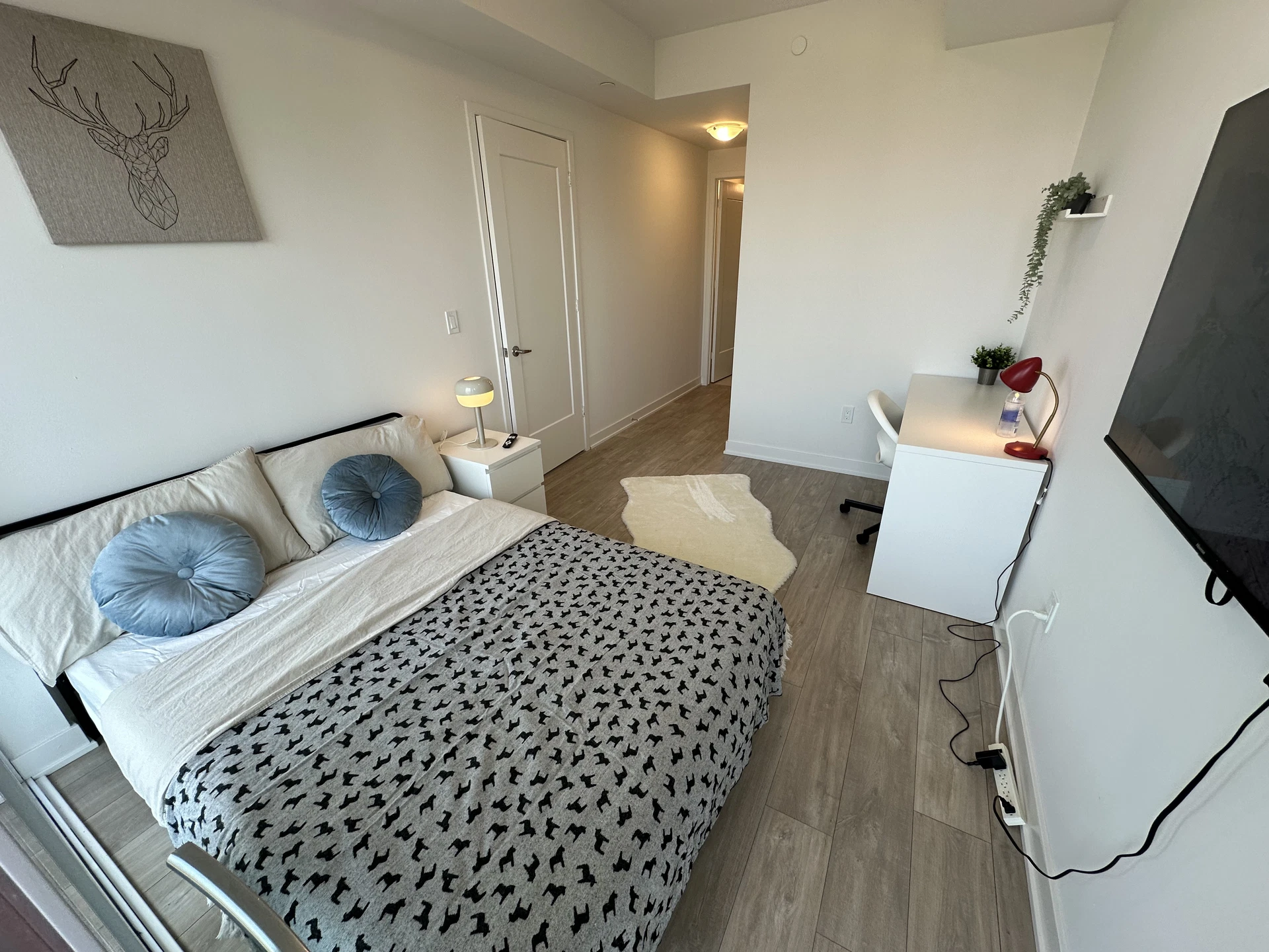 Princess St, Toronto | My Student Digs | Student Accommodation