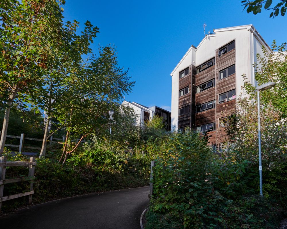 University of Exeter Accommodation | Private Student Accommodations